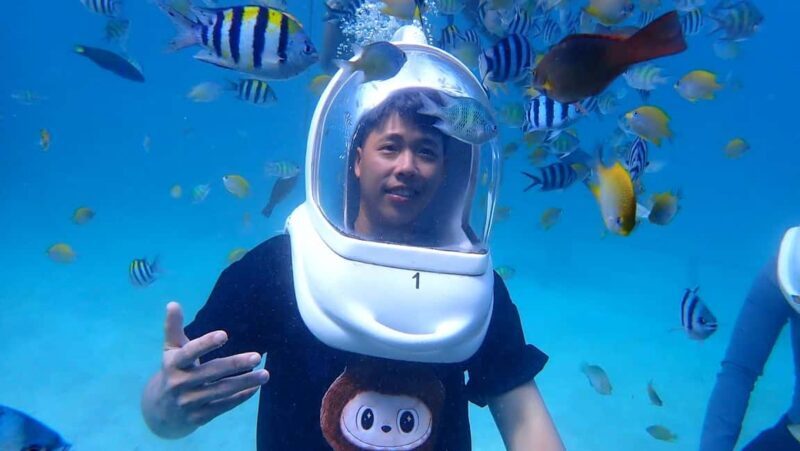 Semporna: Underwater Seawalking with Photography & Transfer - Key Points