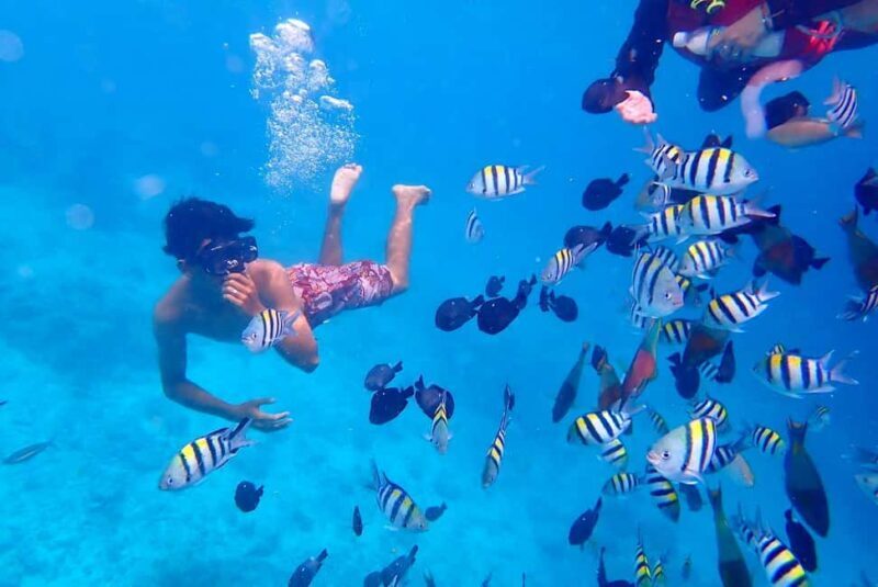 Semporna: Underwater Seawalking with Photography & Transfer - What to Expect from the Semporna Seawalking Tour