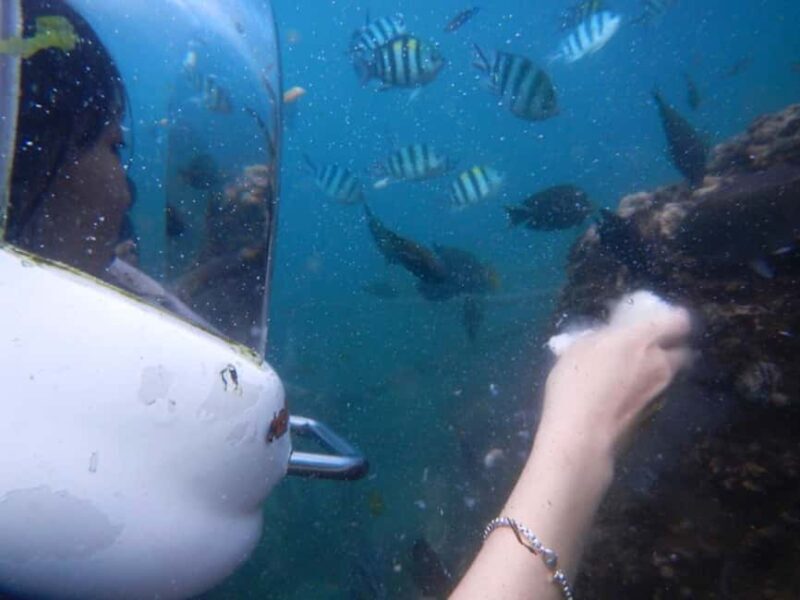 Semporna: Underwater Seawalking with Photography & Transfer - FAQ