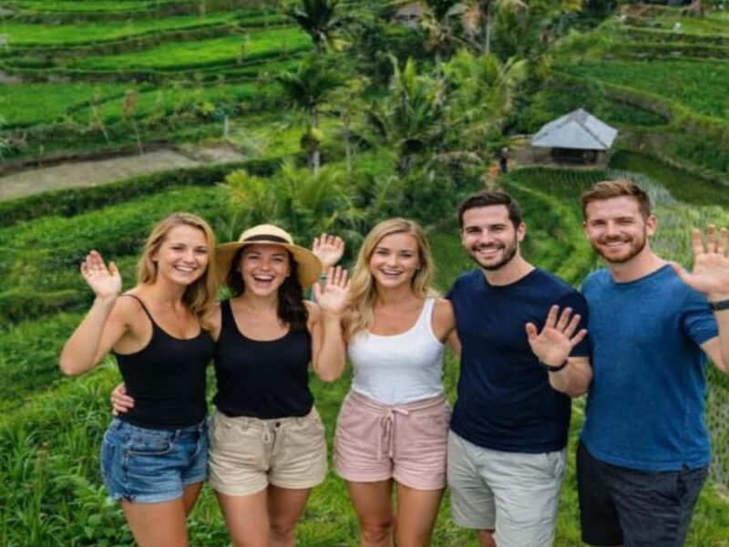 Senaru One Day Tours Traditional House And Green Rice Fields - Key Points