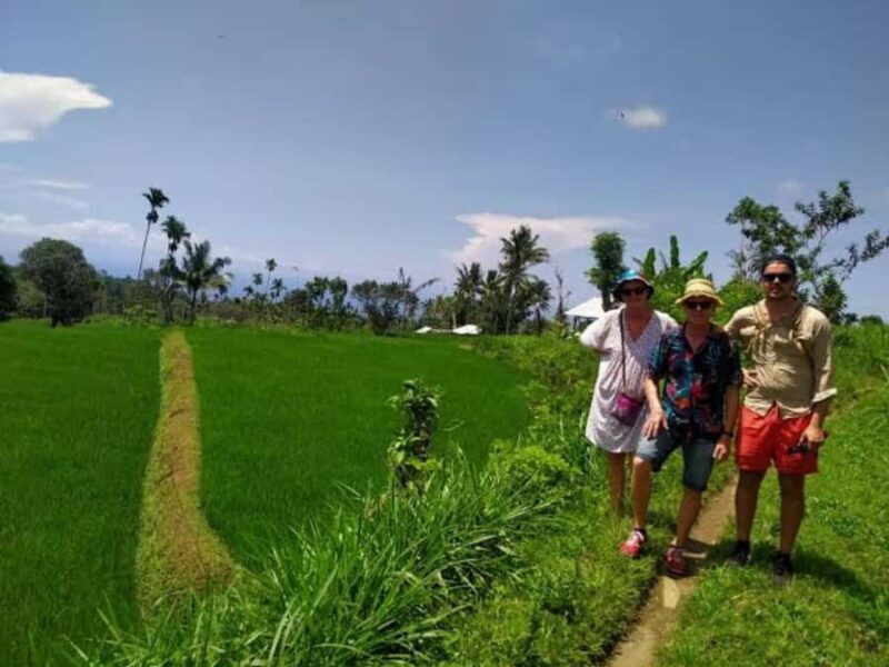 Senaru One Day Tours Traditional House And Green Rice Fields - What to Expect from a Day in Senaru