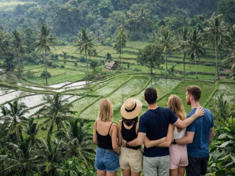 Senaru One Day Tours Traditional House And Green Rice Fields - Who Would Enjoy This Tour?