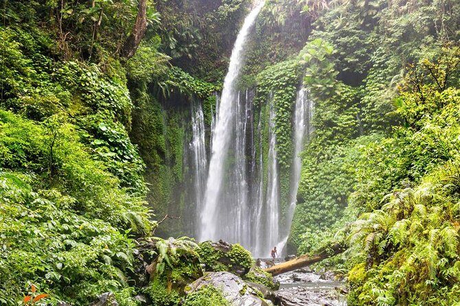 Sendang Gile and Tiu Kelep Waterfall Tour - Private Day Tour - Key Points