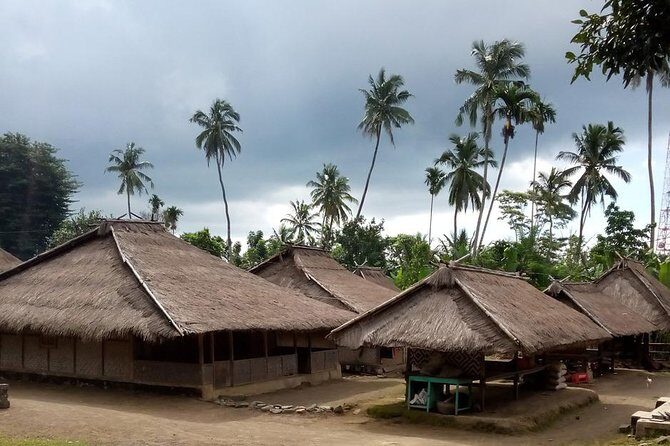 Sendang Gile and Tiu Kelep Waterfall Tour - Private Day Tour - An In-Depth Look at the Sendang Gile and Tiu Kelep Waterfall Tour