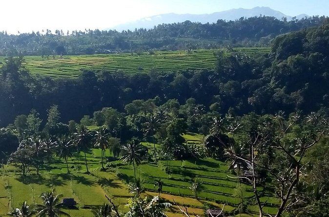 Sendang Gile and Tiu Kelep Waterfall Tour - Private Day Tour - The Sum Up