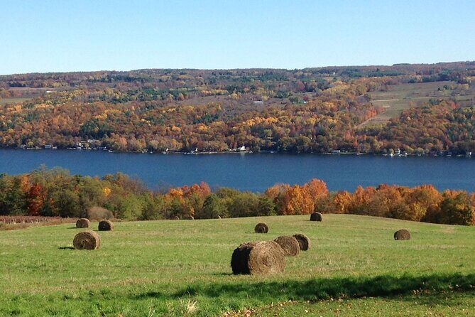 Seneca Lake Wine Tour - Customizable - Authentic Feedback and Perceived Value