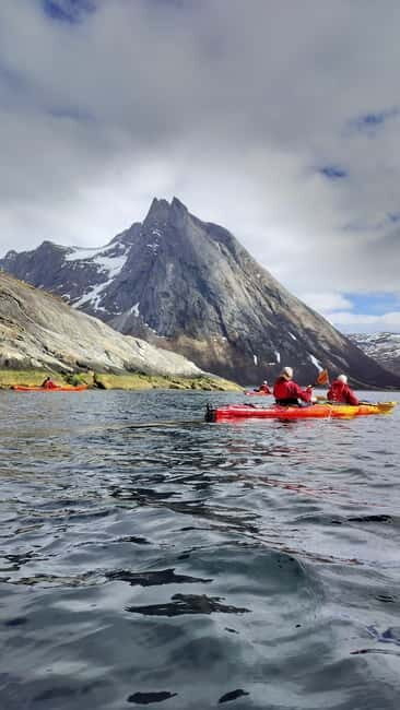 Senja: Fjord Kayaking in Ånderdalen National Park - Key Points