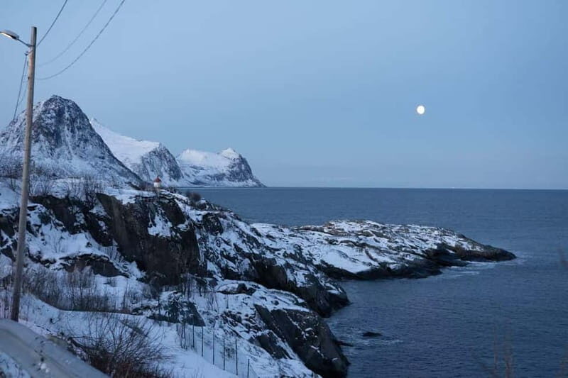Senja: Full-Day Guided Tour with Husøy and Ersfjord - Who Will Love This Tour?