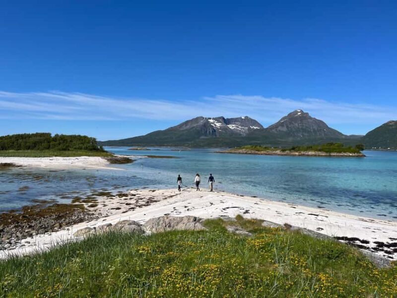 Senja: Guidet Fjord Kayaking in Ånderdalen Nationalpark - Key Points