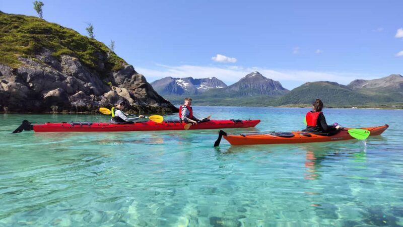 Senja: Guidet Fjord Kayaking in Ånderdalen Nationalpark - Practical Details and Tips