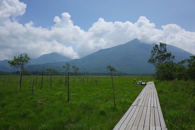 Senjogahara Nature Guide Tour in Nikko - Key Points