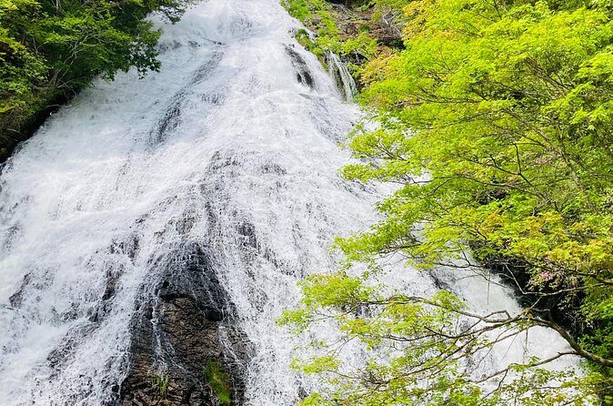 Senjogahara Nature Guide Tour in Nikko - Authentic Insights from Participants