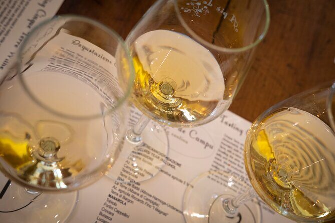 Sensorial wine tasting in Manarola, Cinque terre - Key Points