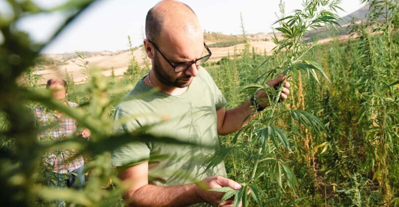 Sensory walk with lunch in the Caltagirone countryside - Key Points