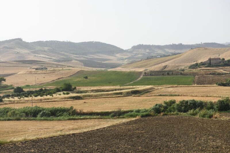 Sensory walk with lunch in the Caltagirone countryside - Who is this tour for?
