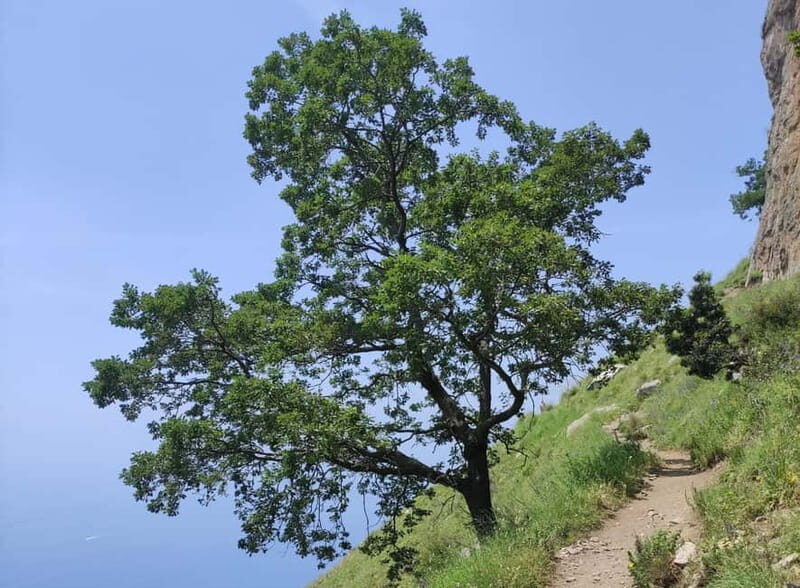 Sentiero degli Dei: Guided trekking on the Amalfi Coast - Key Points