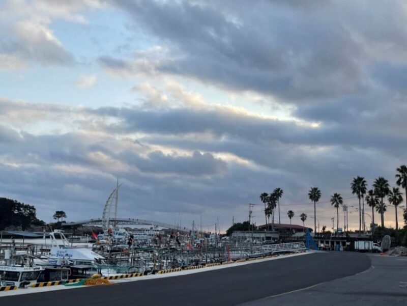 Seogwipo City(in Jeju Island) Walking Tours with Sunset - Price and Value