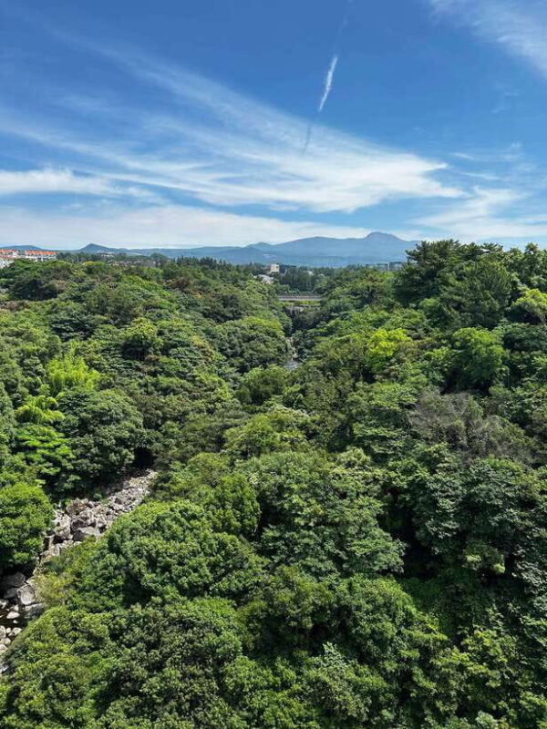 Seogwipo Jungmun Area Walking Tour - Key Points