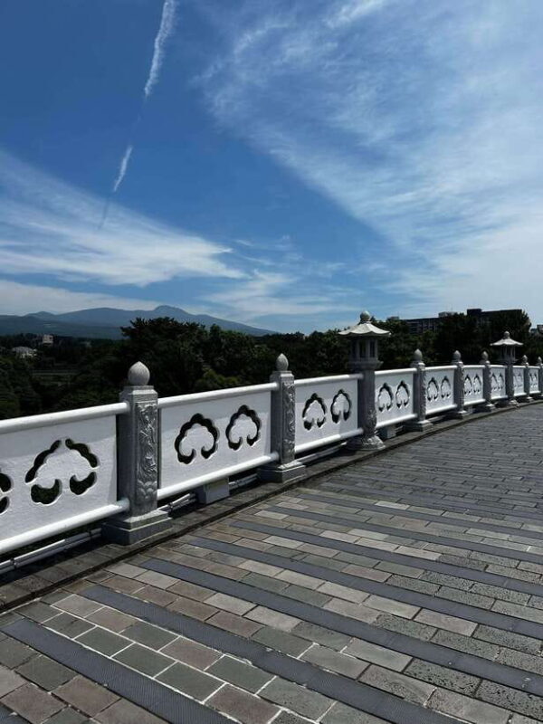 Seogwipo Jungmun Area Walking Tour - What’s Included and What Not