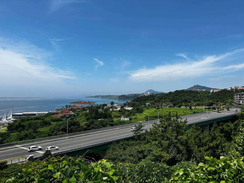 Seogwipo Jungmun Area Walking Tour - Practical Tips for Tour Participants