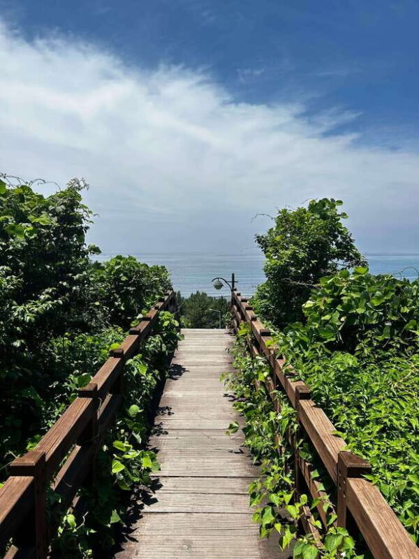 Seogwipo Jungmun Area Walking Tour - The Authenticity and Value of the Experience