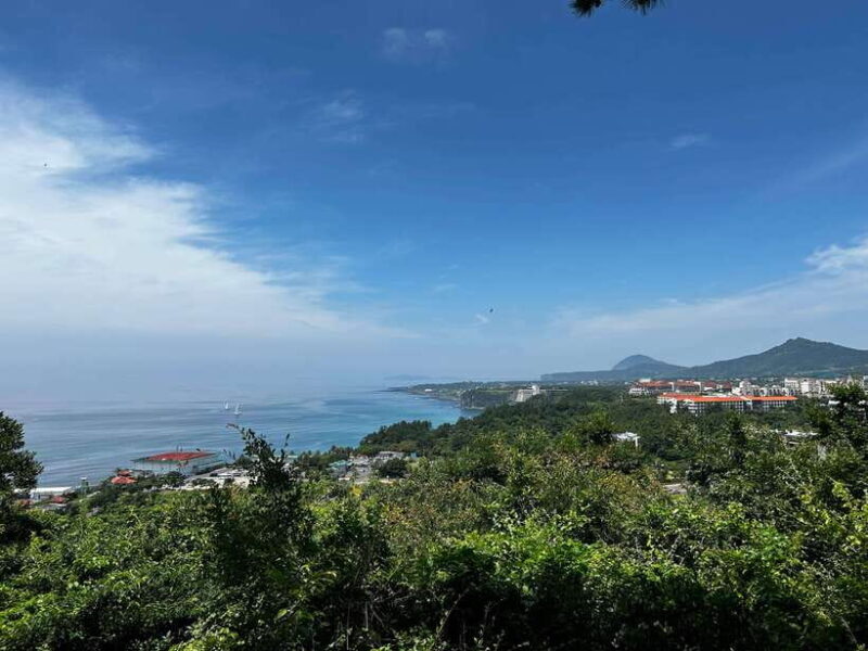 Seogwipo Jungmun Area Walking Tour - Final Thoughts