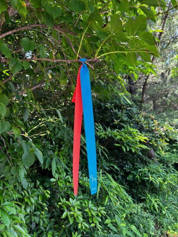 Seogwipo Jungmun Area Walking Tour - FAQ