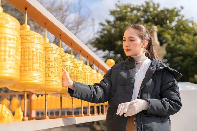Seogwipo Natural Wonders: Craters, Caves, and Forests - What the Tour Includes and What It Doesnt