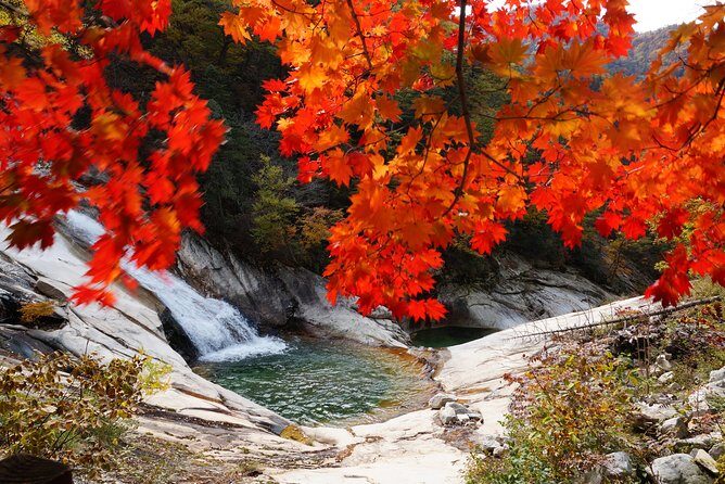 Seoraksan Daecheongbong(1,708m) Peak Hiking [1-Day Tour From Seoul] - What Travelers Say About This Experience