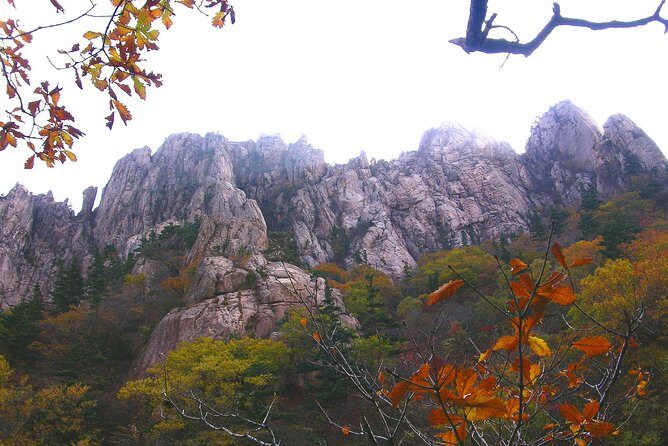 Seoraksan Daecheongbong(1,708m) Peak Hiking [1-Day Tour From Seoul] - Practical Details and Tips