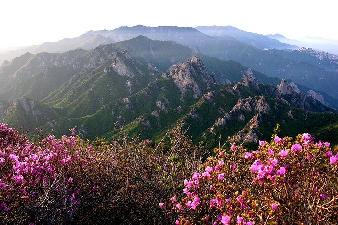 Seoraksan Daecheongbong(1,708m) Peak Hiking [1-Day Tour From Seoul] - FAQ