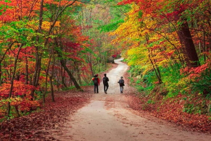 Seoraksan & Naksan Temple Autumn Day Trip from Seoul - Authentic Experiences & Traveler Feedback