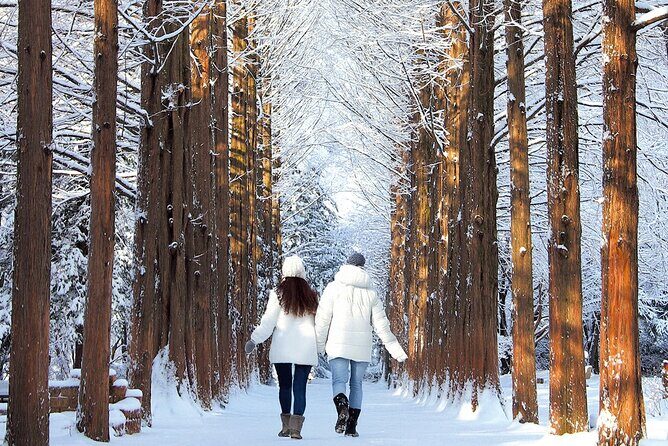 Seoraksan National Park & Nami Island - A Practical Guide to the Tour Experience