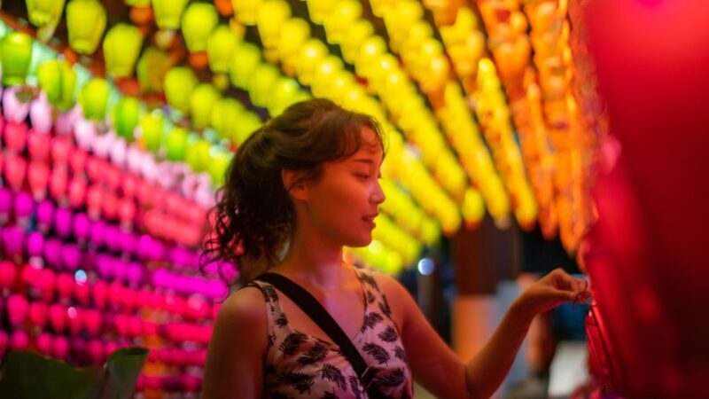 Seoul: Afternoon Ebike tour and "Happy Hour" food and drinks - Who Is This Tour Best For?