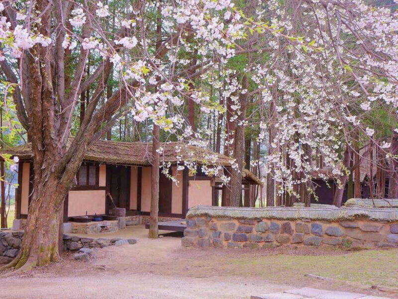 Seoul: Alpaca/Nami/Garden of Morning Calm Tour (+Rail Bike) - Key Points