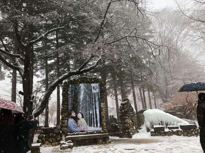 Seoul: Alpaca/Nami/Garden of Morning Calm Tour (+Rail Bike) - Rail Bike: First-Hand Experience of Korea’s Four Seasons