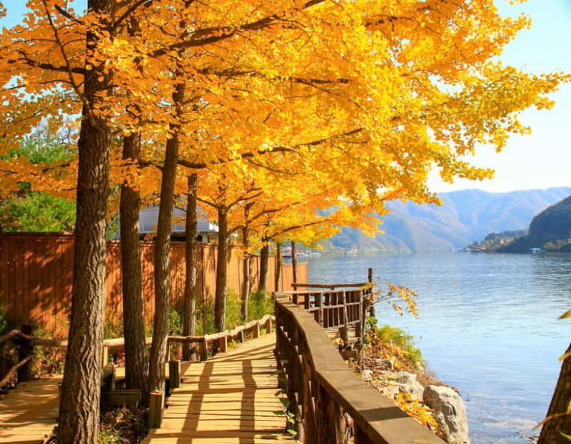 Seoul: Alpaca World & Nami Island (opt. Gangchon Railbike) - How Does the Tour Add Value?