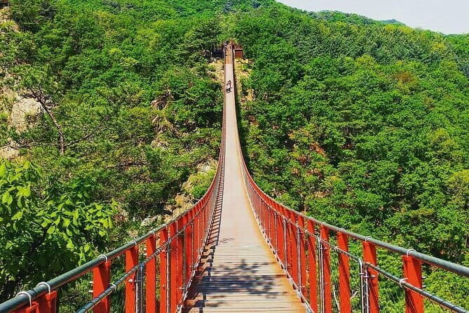 Seoul and Suburbs Private Customized Tour - Authentic Experiences and Highlights