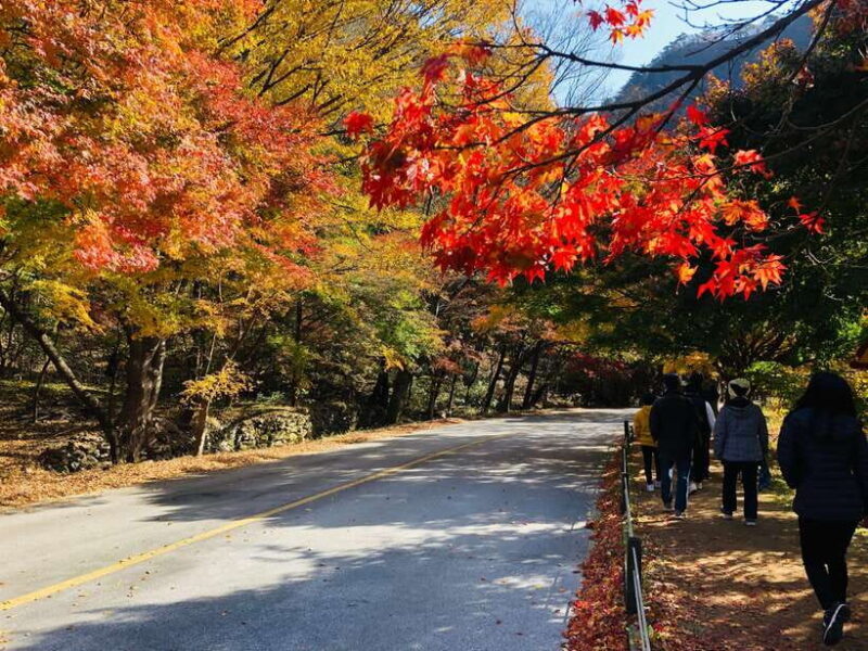 Seoul: Autumn Foliage - Mt. Naejang + Jeonju Hanok Village - Key Points