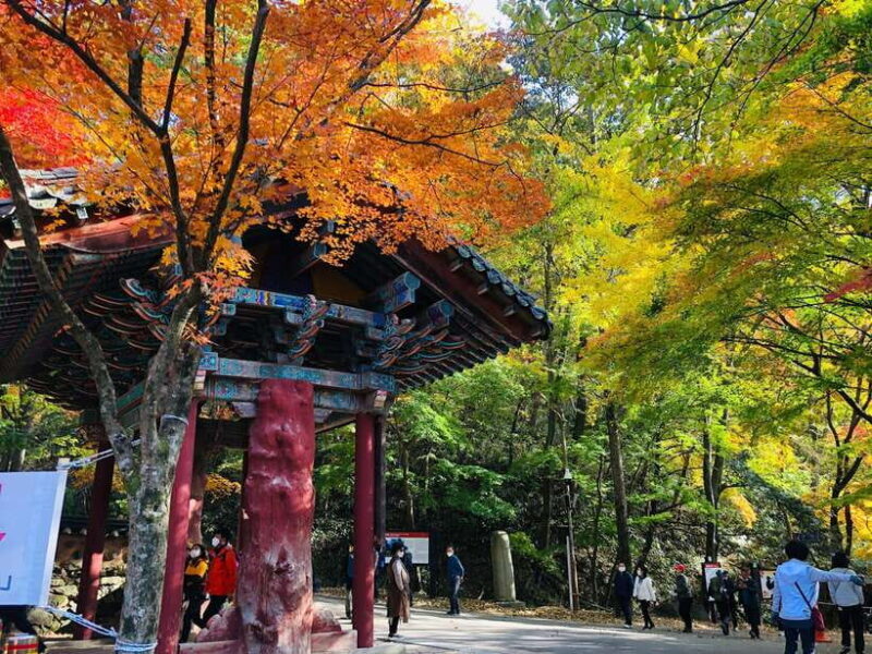 Seoul: Autumn Foliage - Mt. Naejang + Jeonju Hanok Village - The Sum Up