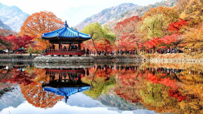Seoul: Autumn Foliage - Mt. Naejang + Jeonju Hanok Village - Frequently Asked Questions