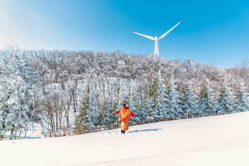 Seoul: Balwangsan Cable Car & Samyang Ranch One Day Tour - The Itinerary in Detail