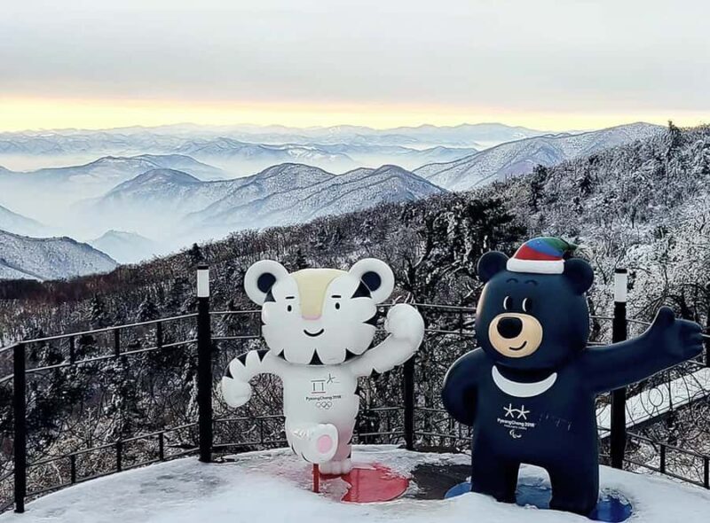 Seoul: Balwangsan Cable Car & Samyang Ranch One Day Tour - Cost and Value: Is It Worth It?