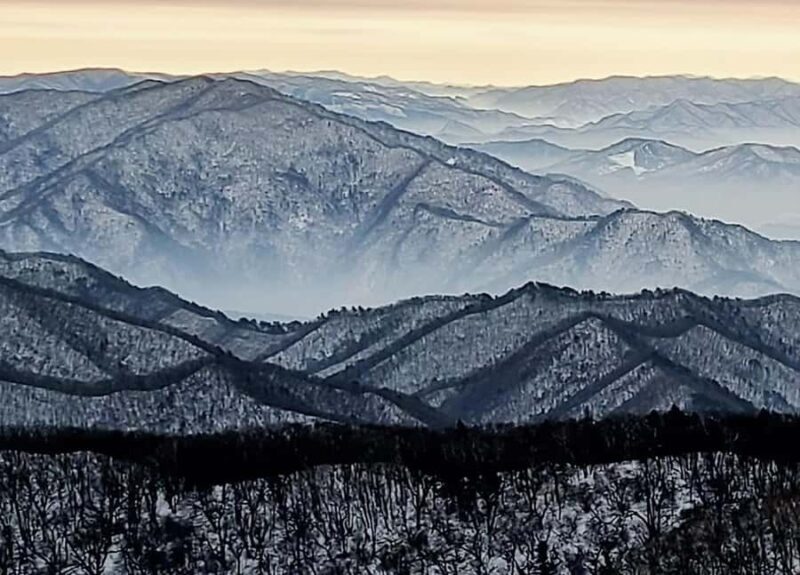 Seoul: Balwangsan Cable Car & Samyang Ranch One Day Tour - Who Will Enjoy This Tour?