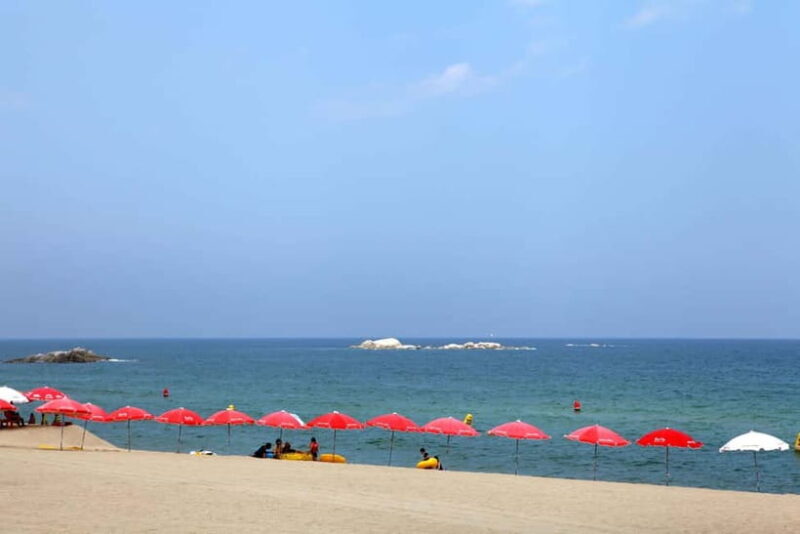 Seoul: BTS Gangneung Fan Tour & Ulleung Island Escape - Additional Information That Matters