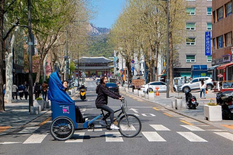 Seoul: Bukchon Pedicab Tour & Dancheong Experience - A Closer Look at the Tour