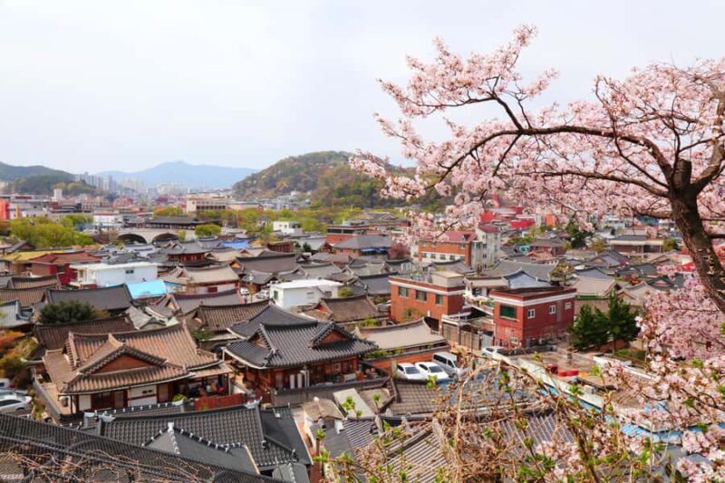 Seoul/Busan: Gwangyang Plum Blossom Festival Spring Day Tour - An In-Depth Look at the Tour Experience