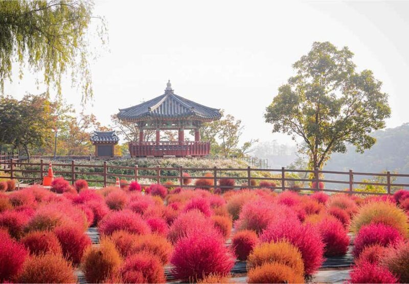 Seoul: Cheorwon DMZ & 2nd Tunnel Small Group Tour - Introduction: A Personalized Journey into Korea’s Divided Land