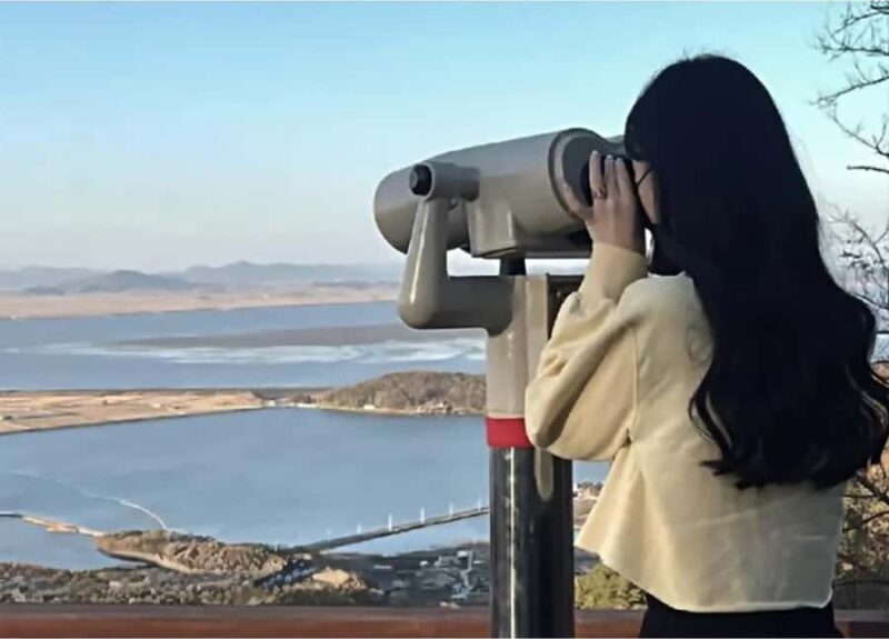 Seoul: Cheorwon DMZ & 2nd Tunnel Small Group Tour - Authentic Insights from Reviews