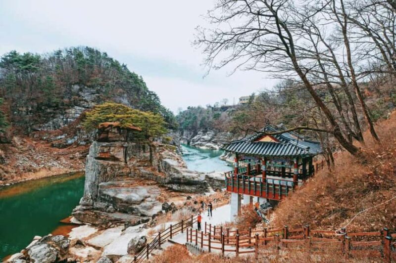 Seoul: Cheorwon DMZ & 2nd Tunnel Small Group Tour - Price and Value